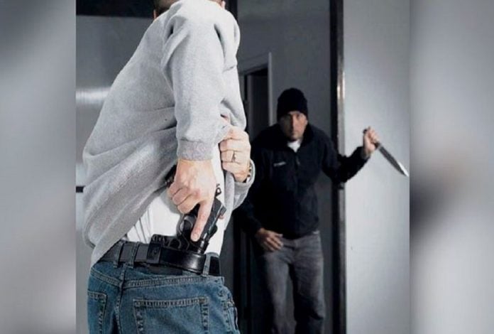 Buscan amparar en defensa propia | Fernanda Familiar