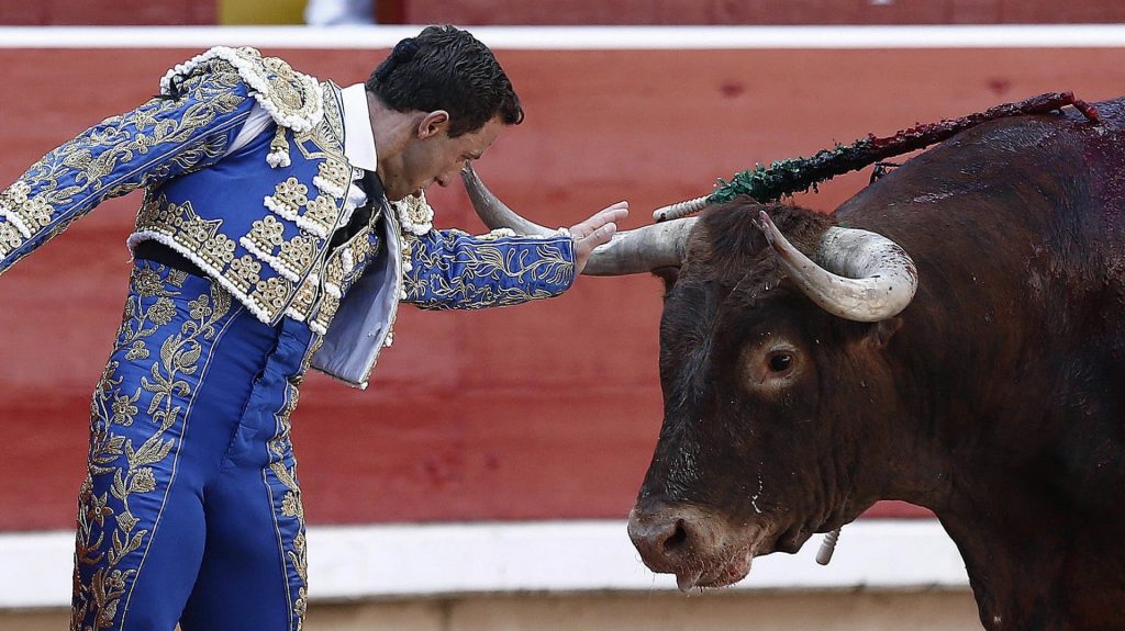 PETA exhibe video de matador apuñalando a un toro en la cabeza ...